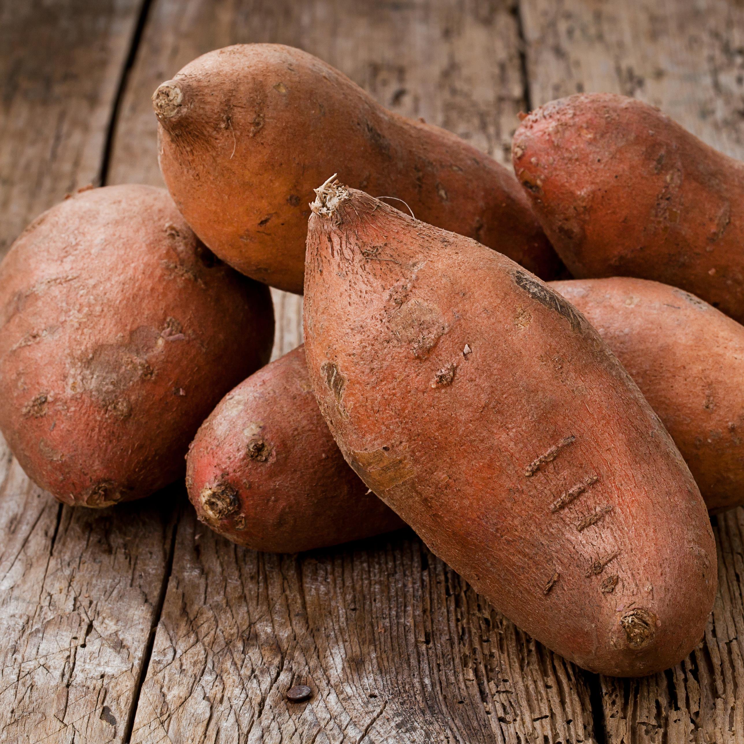 Exercice 1W1 - Flexbox